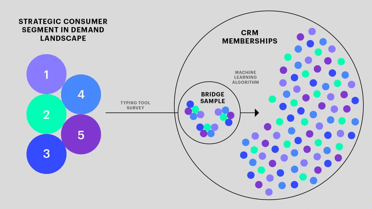 Operationalize Your Portfolio Strategy for Market Growth | Prophet